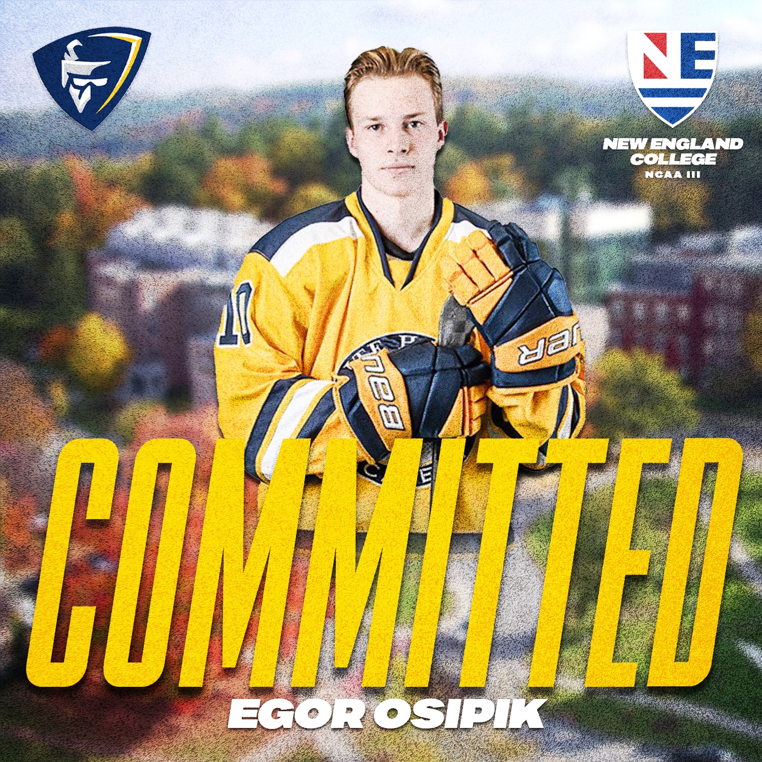 News Archive - Elite Hockey Academy