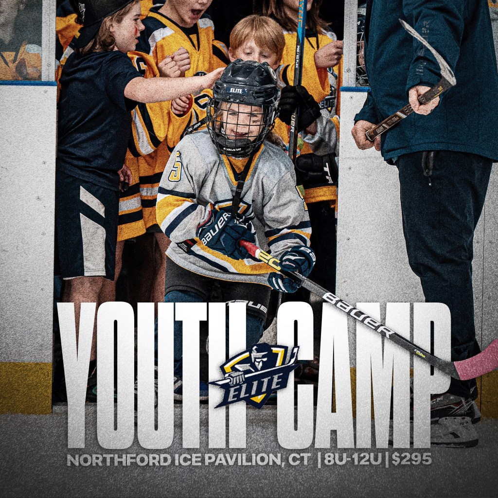 Skills & Camps - Elite Hockey Academy
