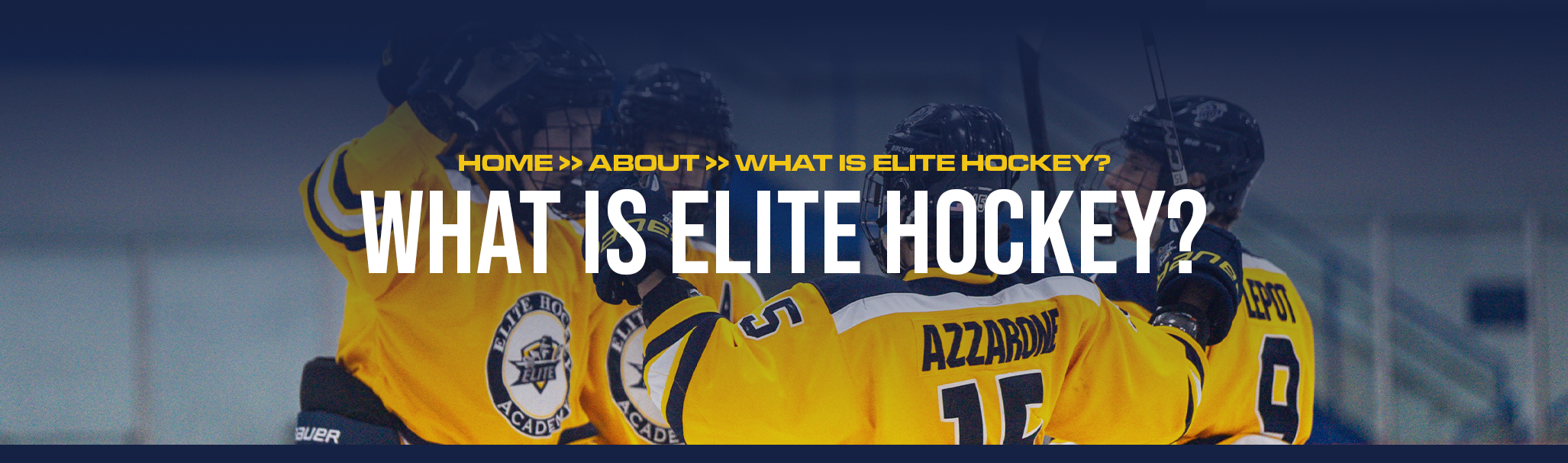 What Is Elite Hockey? - Elite Hockey Academy