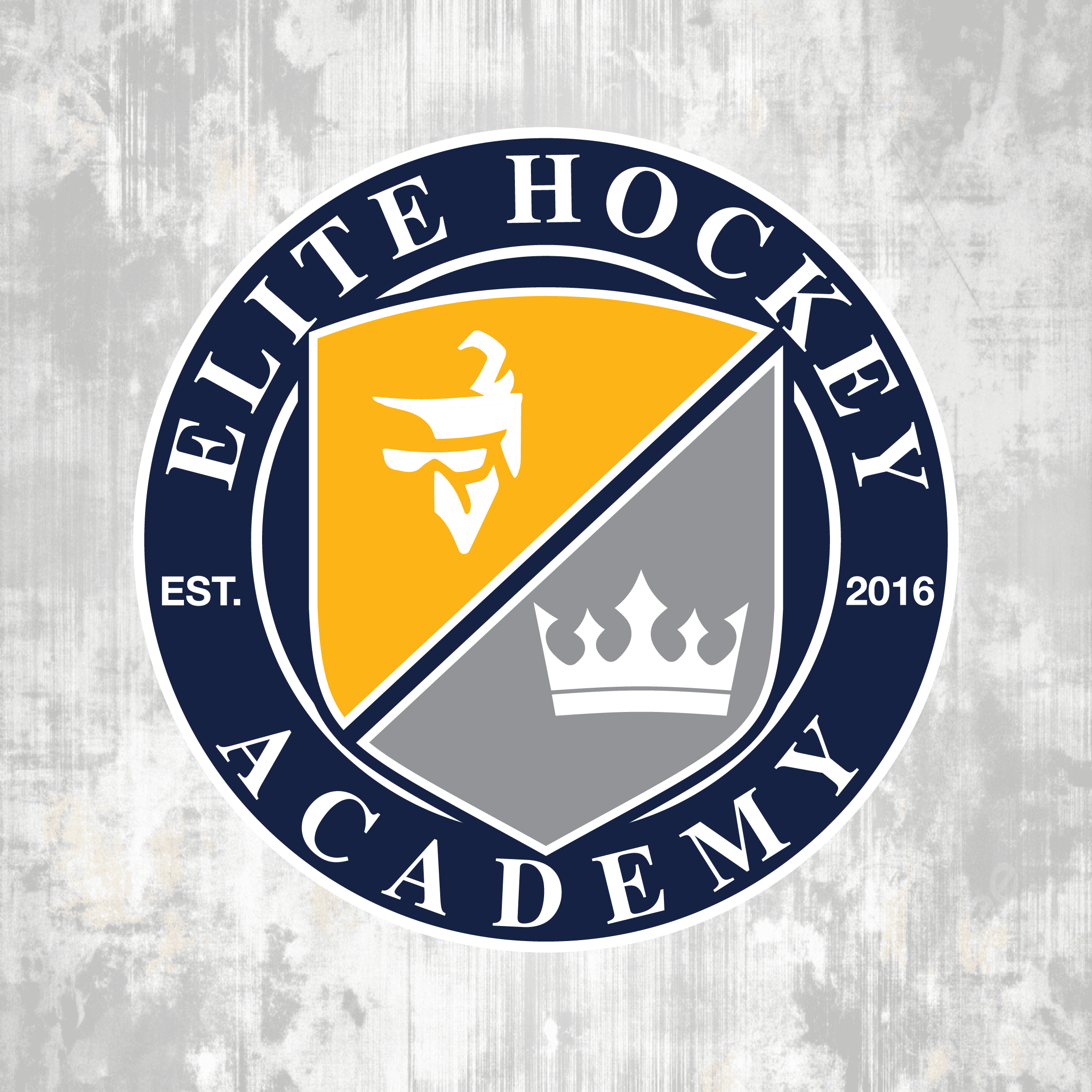Homepage - Elite Hockey Academy